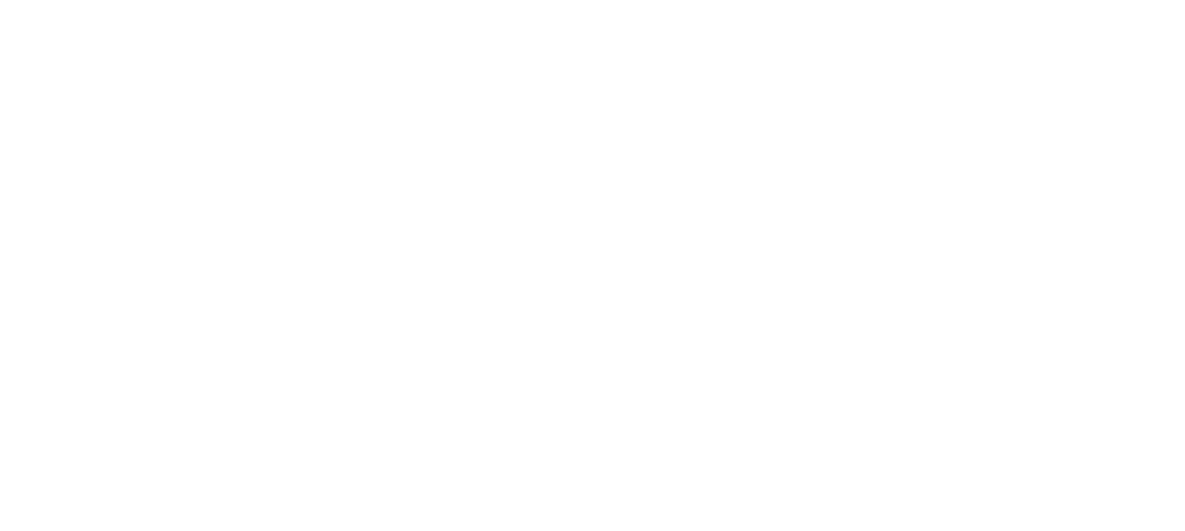 The ins-pi Story
